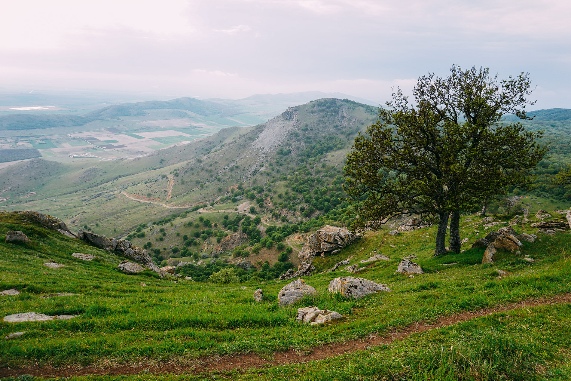 Munții Măcin: Spre Vârful Țuțuiatu