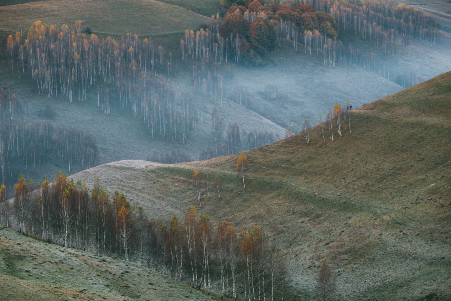 O zi de toamnă în Apuseni