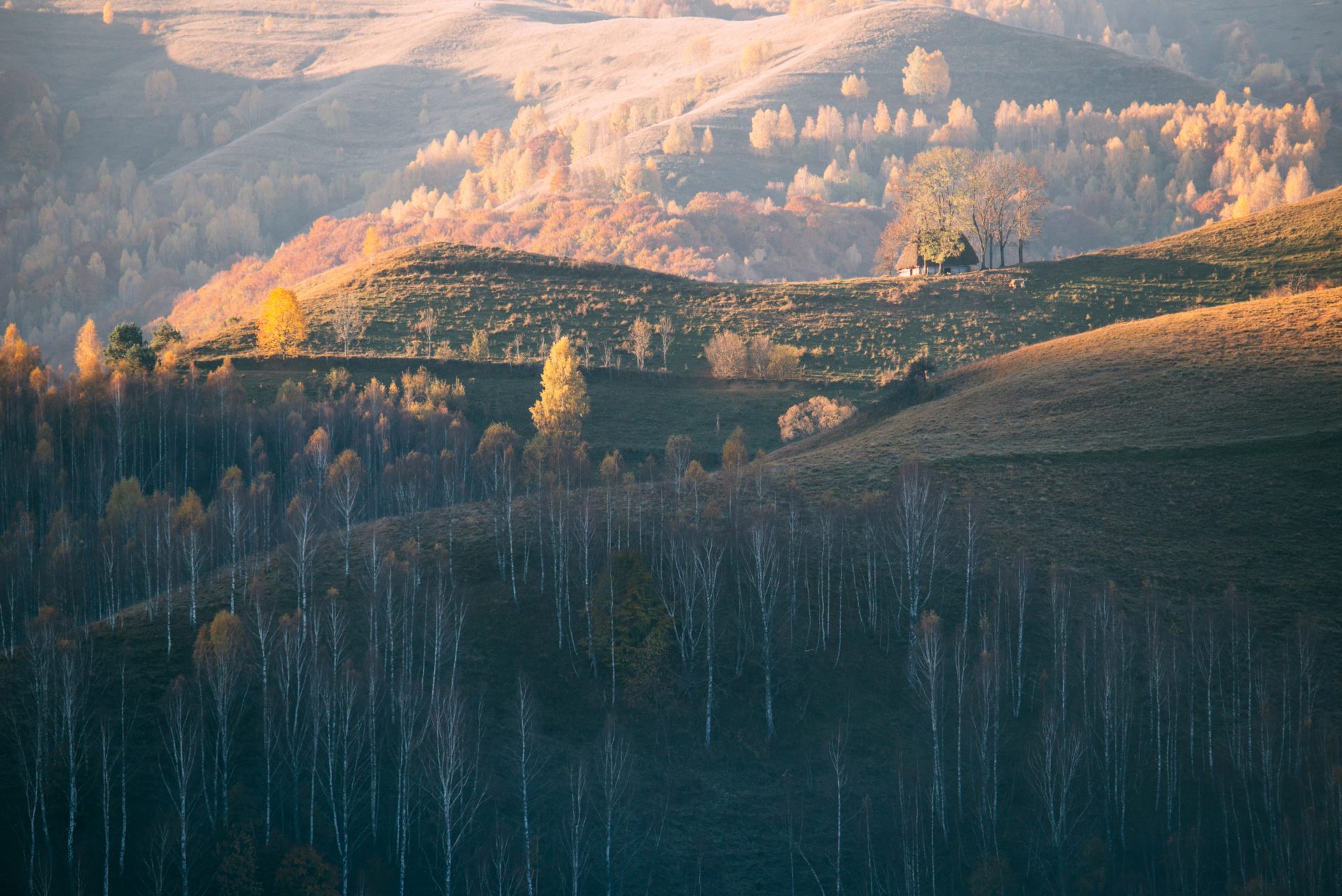 O zi de toamnă în Apuseni