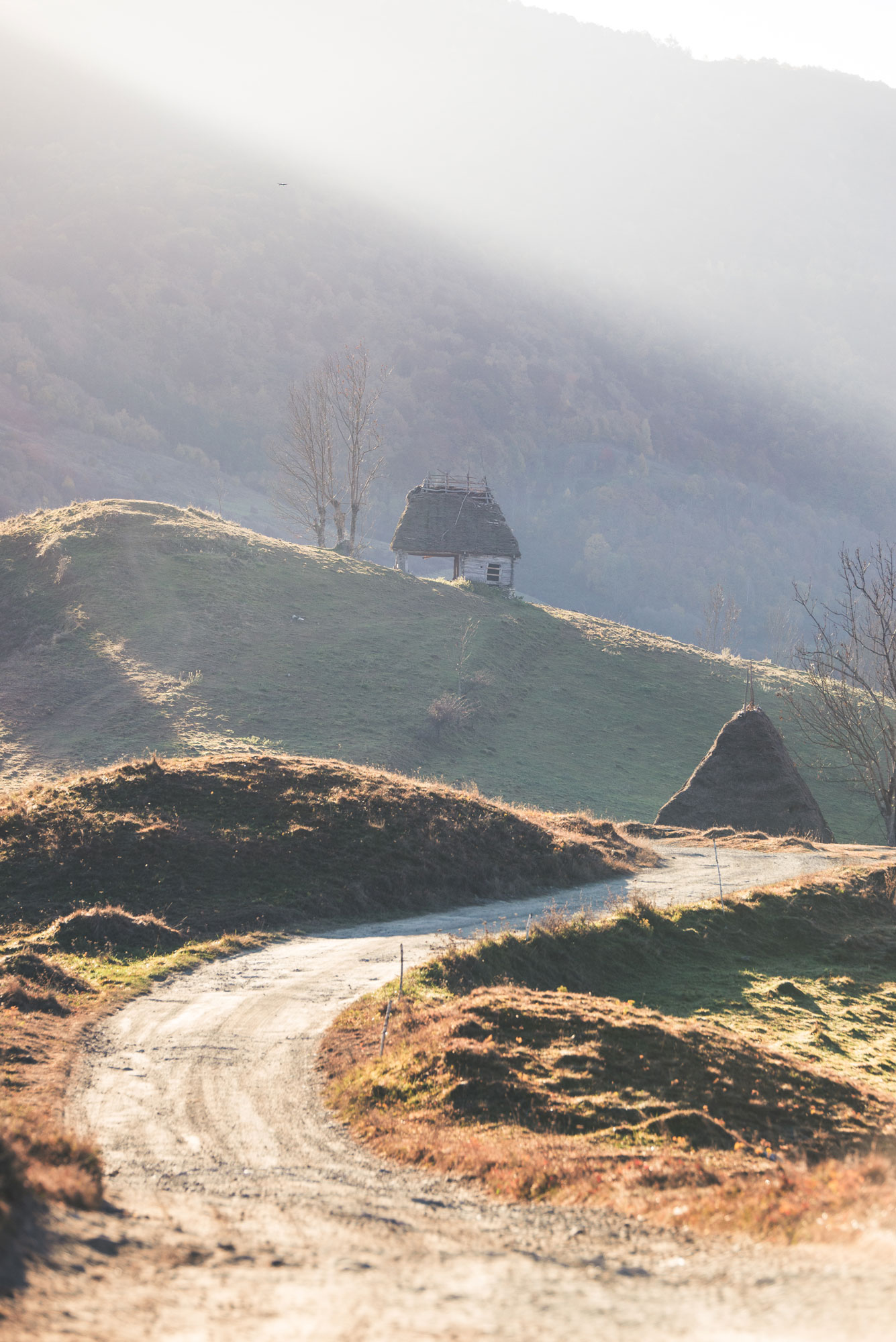 O zi de toamnă în Apuseni