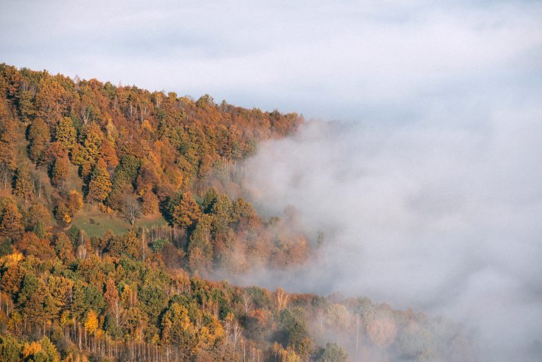O zi de toamnă în Apuseni