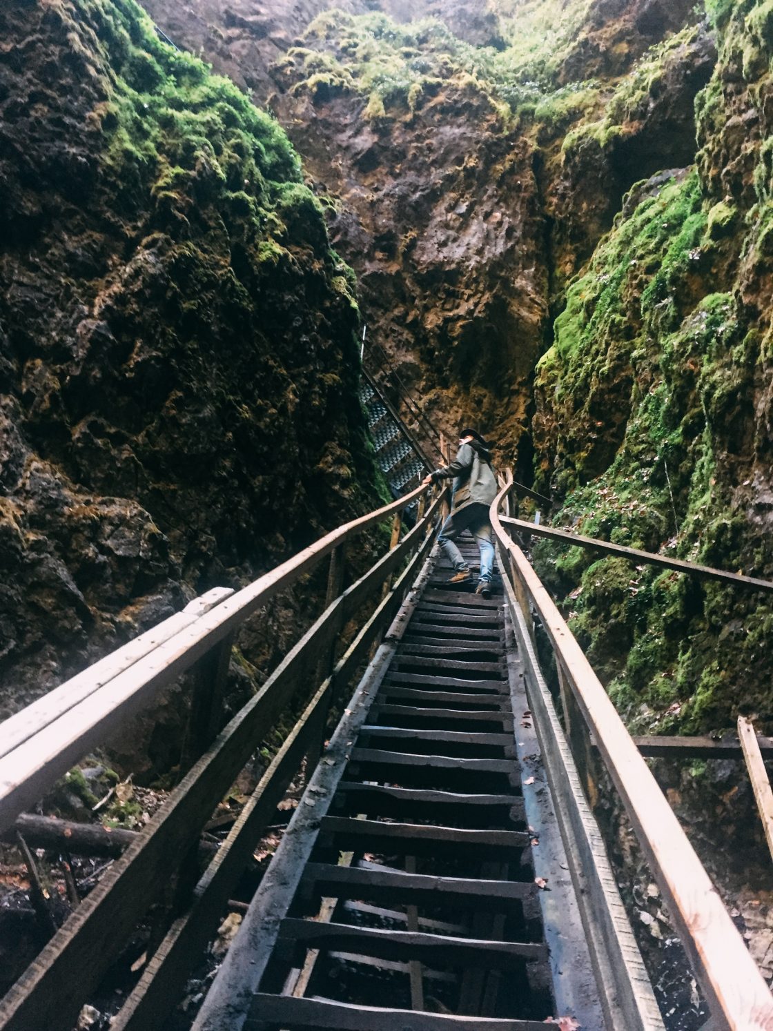 O zi de toamnă în Apuseni