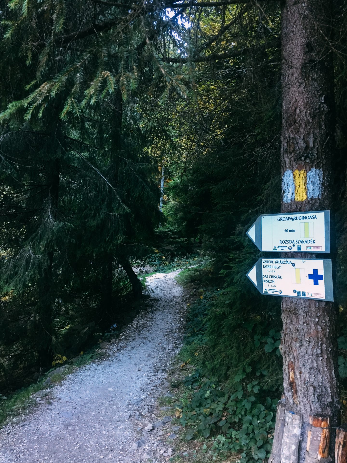 O zi de toamnă în Apuseni